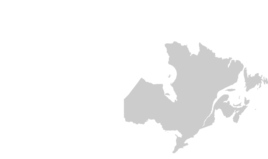 Citak Rugs Inc | Different. Distinctive. Original.™