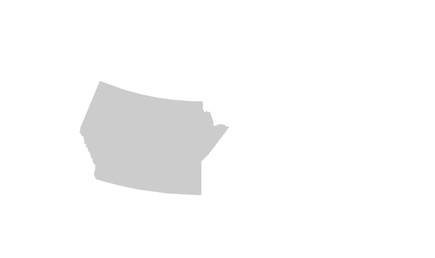 Citak Rugs Inc | Different. Distinctive. Original.™