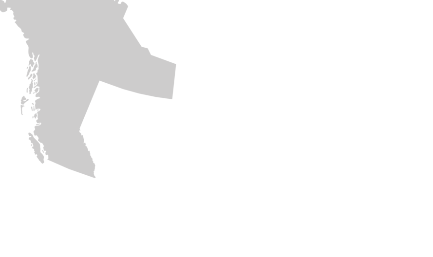 Citak Rugs Inc | Different. Distinctive. Original.™